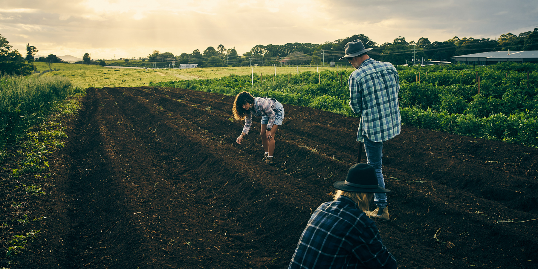 Community coordination is a key to effective weed management - Weeds ...